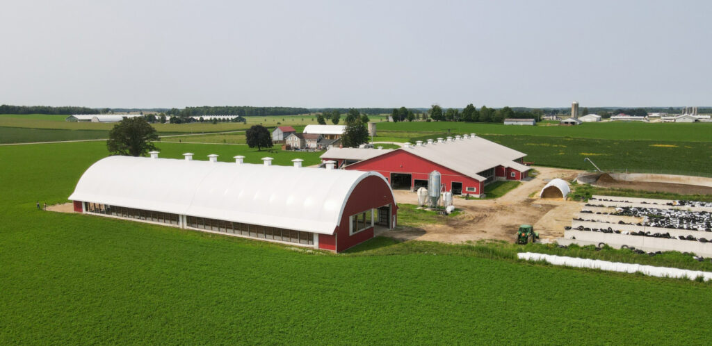 How Natural Ventilation Boosts Dairy Cow Comfort and Milk Production