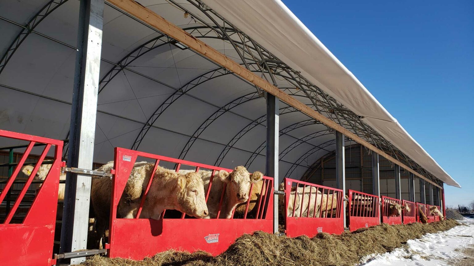 Designing a Perfect Modern Beef Barn: Features & Benefits