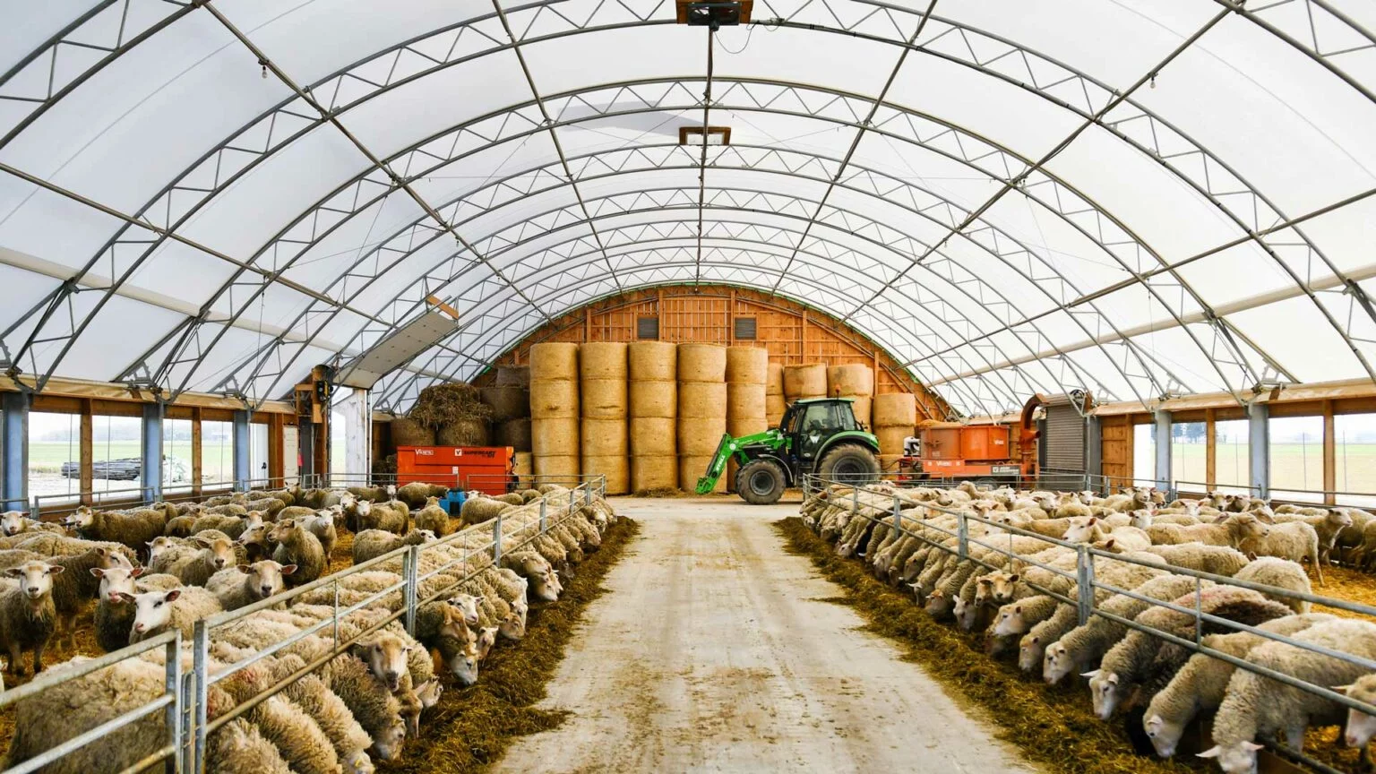 Cost-Effective and Comfortable Housing Solutions for Goats and Sheep ...